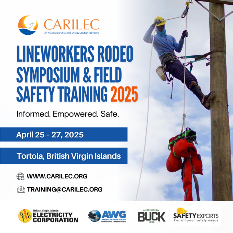 Customer Service Assistance - British Virgin Islands Electricity ...